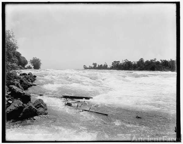 American Rapids, Niagara