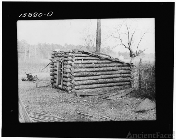 Old log chicken coop. Pembroke Farms, North Carolina