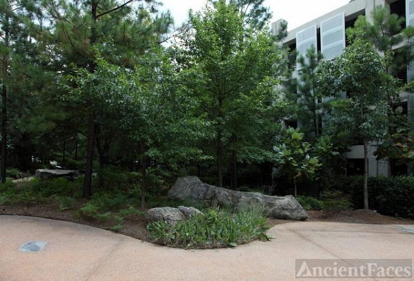 "Zones of Change" at Edward R. Roybal Building (CDC),...