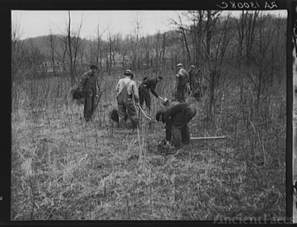 Reforestation work. Ross-Hocking land project, Ohio