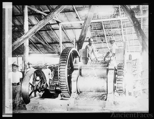 Calomba Sugar Mill Luzon Philippines 1200 Tons Cane calomba-sugar-mill-luzon-philippines-1200-tons-cane