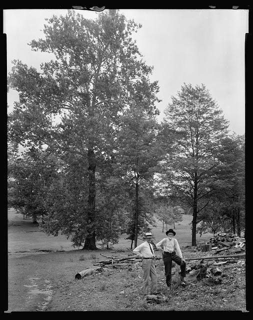 Col. Alfred Cooper homestead, Aventon vic., Nash County,...