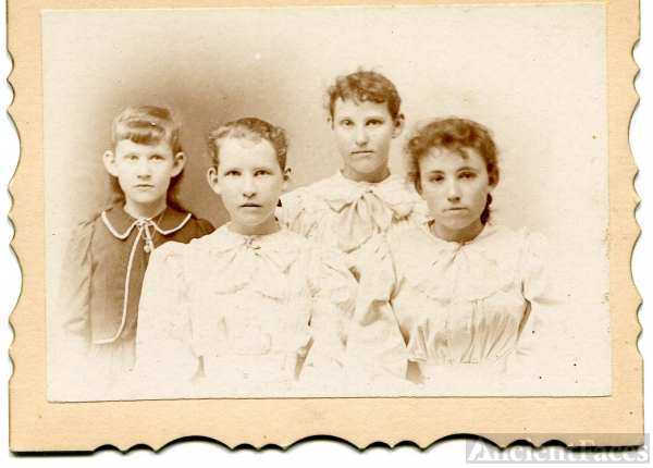 Hamiltons with Daisy Holmes