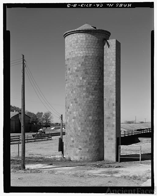 Eastern elevation of silo; view to west. - Nunes Dairy,...
