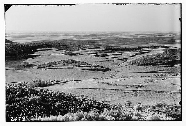 Plain of Sharon from Beit Jamal. Valley of Elah