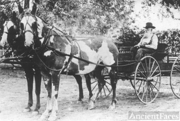 James H McCollum (born 1829) - Biography and Family Tree | 2 Memories ...