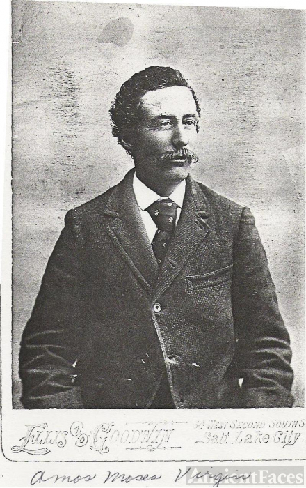 Amos Moses Virgin
