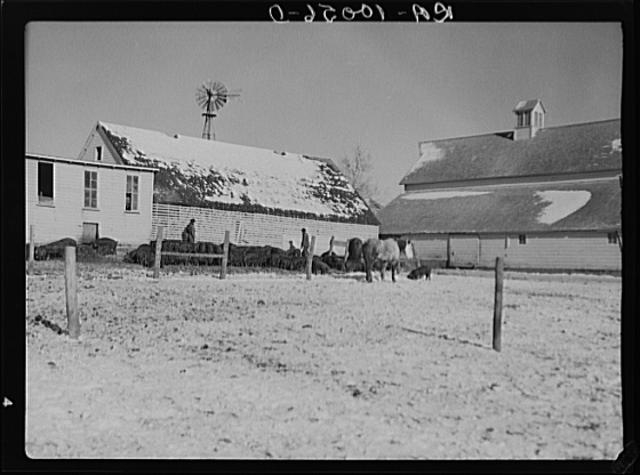 A section of Harry Madsen farm near Dickens, Iowa. Hired...
