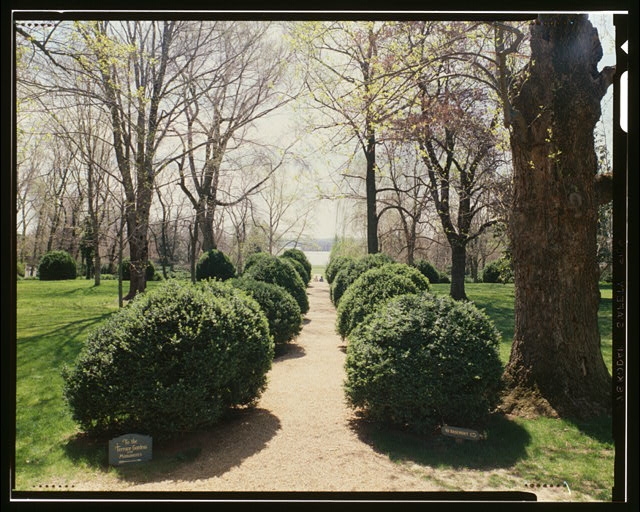 42. LOOKING SOUTH TO RIVER FROM LOWER TERRACE - Berkeley,...