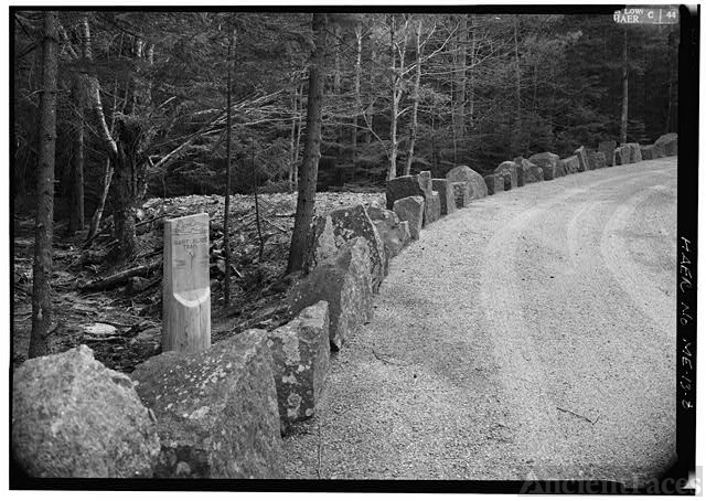 8. GIANT SLIDE TRAIL MARKER NEAR SLAB CULVERT OF...