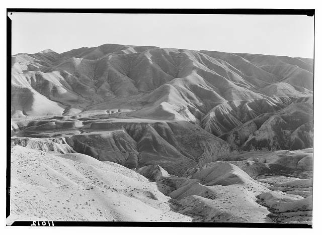 Wilderness of Judea from Neby Mousa [i.e., Nebi Musa],...