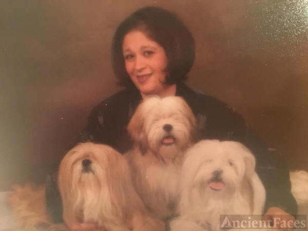 lisa bonanno -dogs tootsie, luigi, lucy