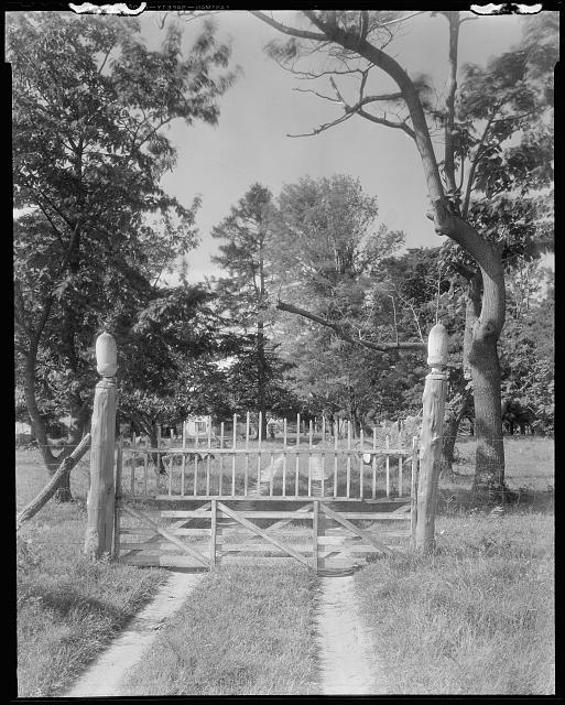 Mt. Custis, Accomac vic., Accomac County, Virginia