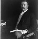 Theodore Roosevelt Jr. (1858 - 1919) - New York