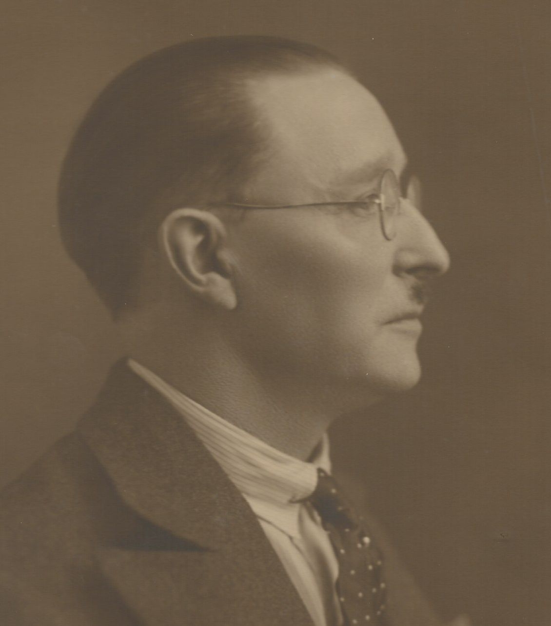 Willem Pieter Van Velsen I