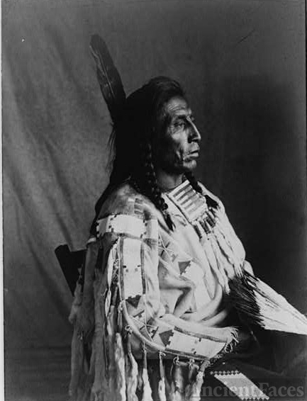 Chief Medicine Crow