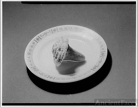 Colonial Ice Cream Co. Ice cream forms I