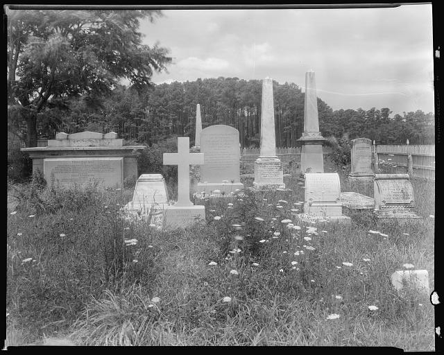 Mt. Custis, Accomac vic., Accomac County, Virginia