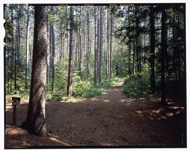 INTERSECTION OF ROADS TO THE POGUE, MACKENZIE ROAD, AND...