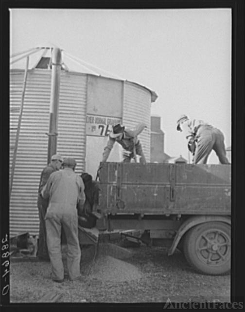 Storing corn in ever-normal granary bins. Grundy Center,...