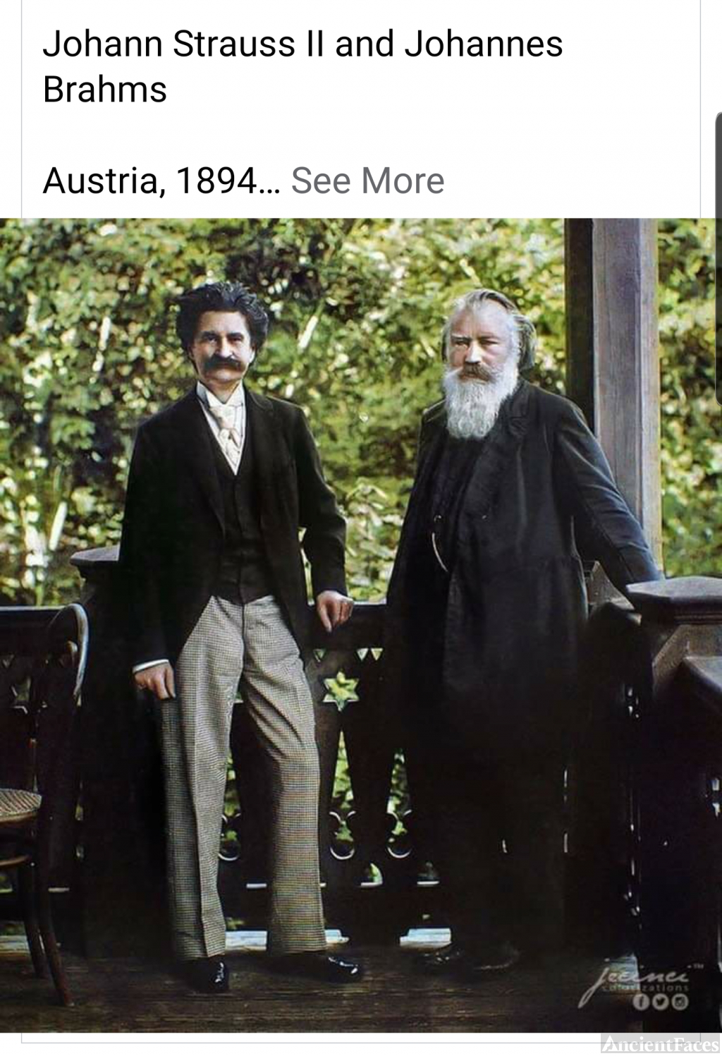 Strauss and Brahms