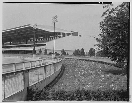 Roosevelt Raceway, Westbury, Long Island. Rose garden I