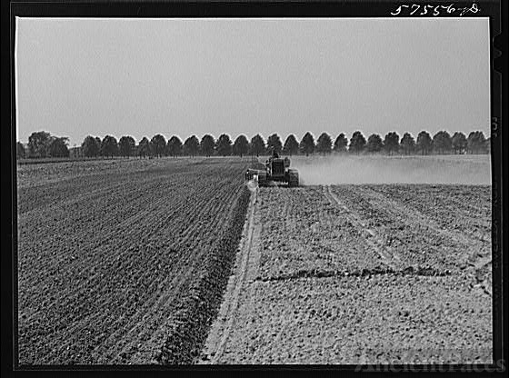 Harrowing field before planting. Starkey Farms,...