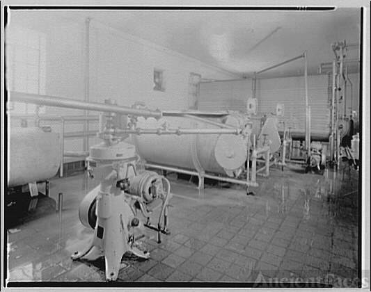 Wakefield Dairy. Interior of Wakefield Dairy plant, 41st...