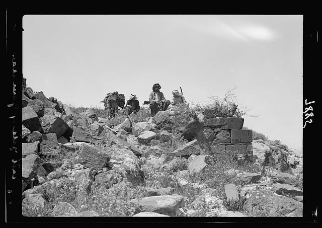 Gamala (Kal'at el-Huson east of the Sea of Galilee)....