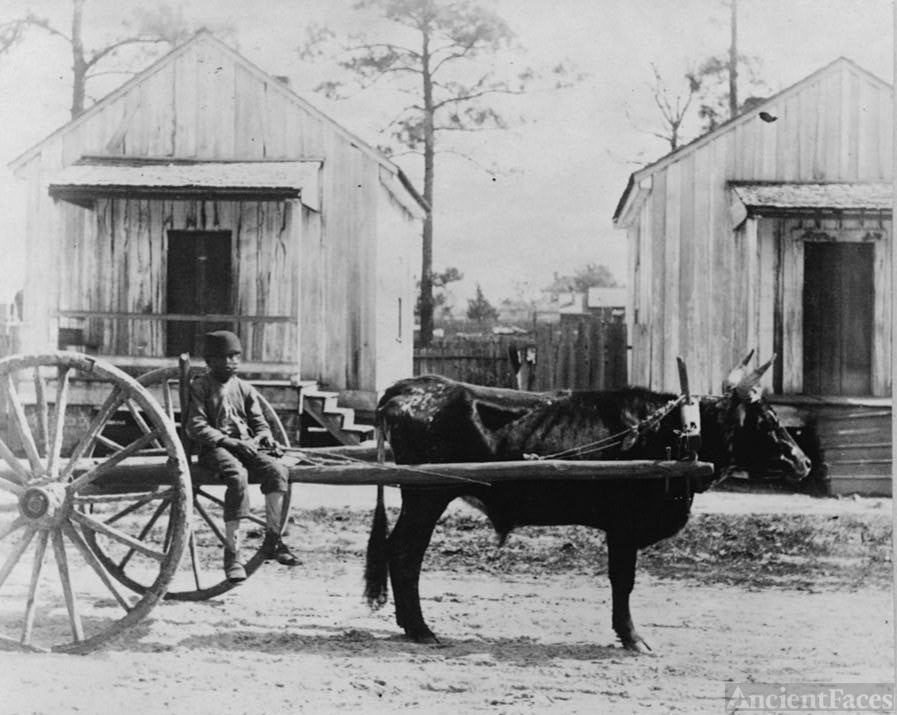 Georgia Rural Scene circa 1890