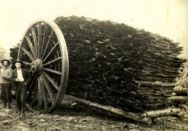 Michigan logging camp