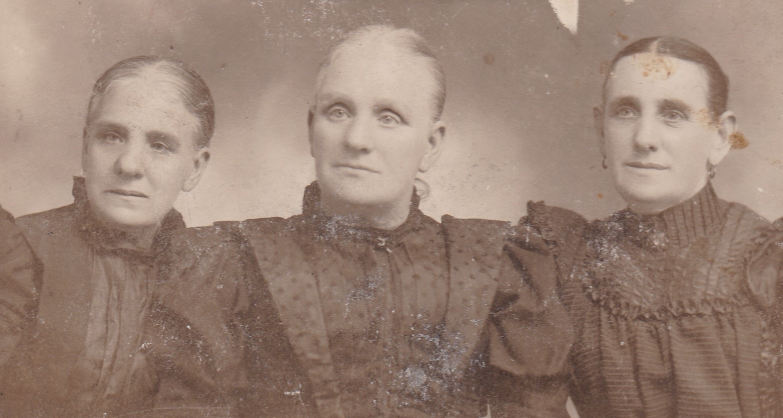 POMRAY or POMEROY Family