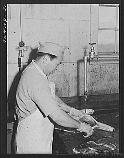 Salmon butcher. Columbia River Packing Association,...