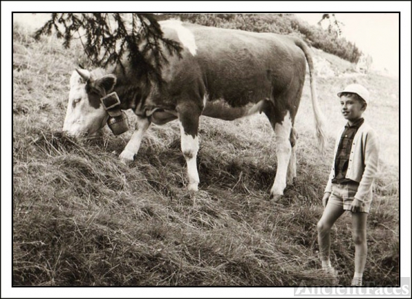 Young Boy with Cow