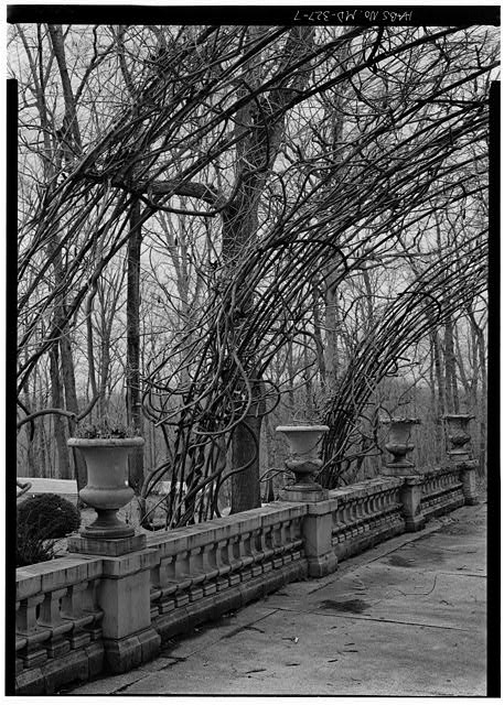 7. DETAIL OF TRELLISES AND URNS, FRONT PORCH