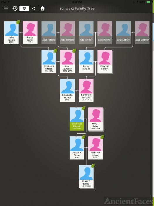 Muriel T Pitcox family tree