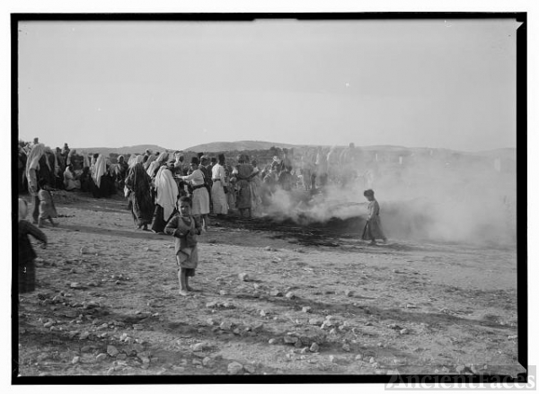 Harvesting and threshing floor scenes in the story of...