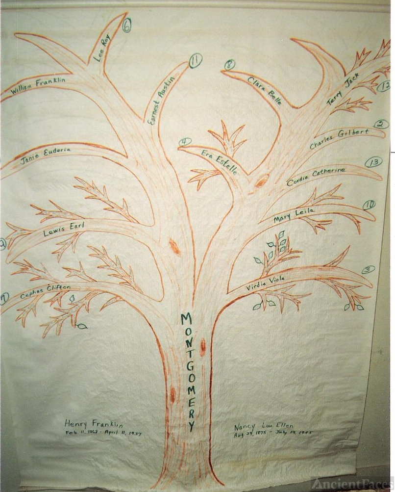 Lewis E Montgomery family tree