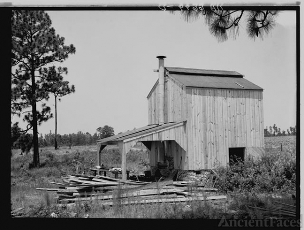 Flue cure tobacco barn on Irwinville Farms, Rural...