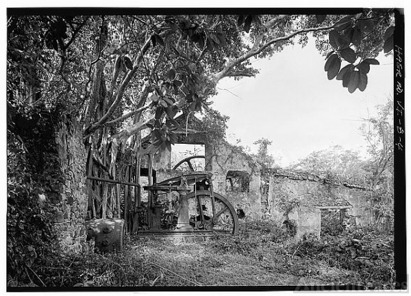4. INTERIOR OF MILL, ENGINE HOUSE WITH ENGINE - Estate...