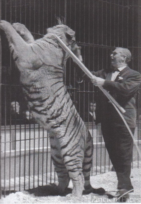 Adolf Althoff (1913 - 1998) - Biography and Family Tree | 14 Memories ...