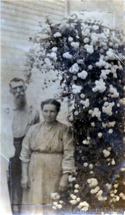 William & Nancy (Purdum) Cale, IL c1890