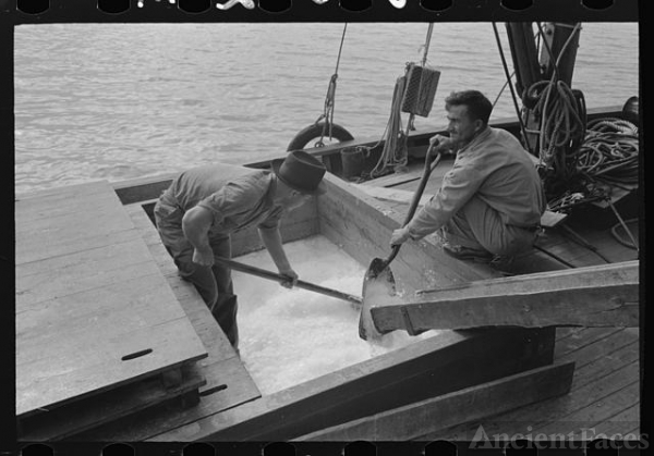 Loading shaved ice into shrimp boat, Morgan City, Louisiana