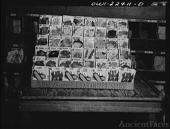 Philadelphia, Pennsylvania. Burpee seed display rack