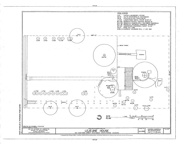 HABS LA-1322 (sheet 2 of 14) - LeJeune House, 507 East...