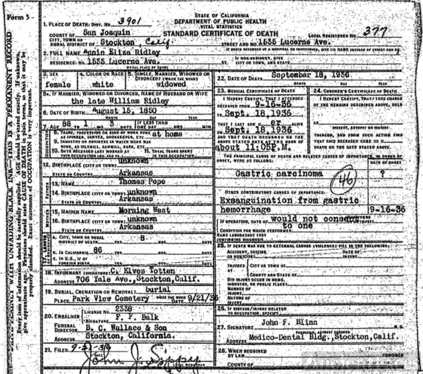 Ann Eliza (Pope) Ridley