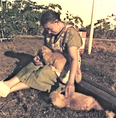 Alice Ball - Mother and Cats