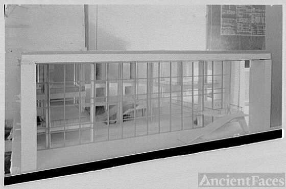 United Nations model. Model IV