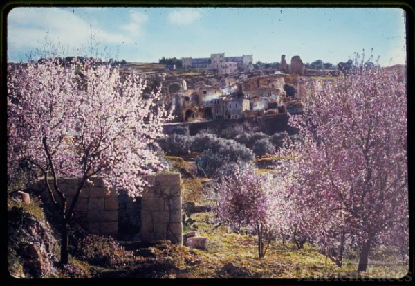 Mount of Olives, Bethphage and Bethany. Bethany in the...