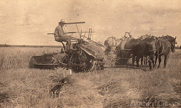 Theodore Wilhelm Roos Farming